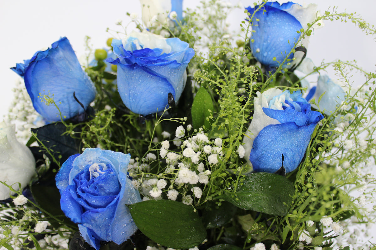 Blue Rose Vase Arrangement – Norma's Flowers NJ